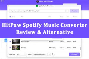 HitPaw Spotify Music Converter Review: Download Spotify to MP3