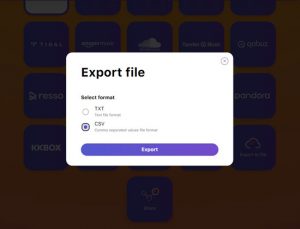 How to Export Spotify Playlist to Excel [Best Tools]